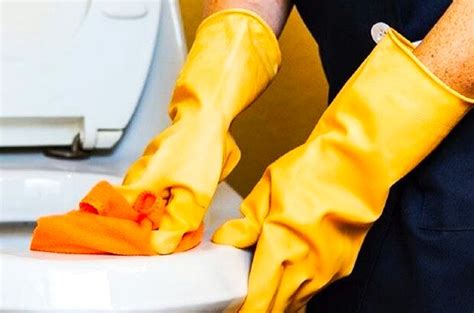 У яких місцях у будинку найбільше мікробів Читайте на Ukr Net