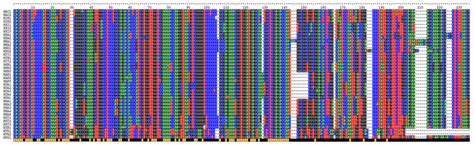 The Multiple Sequence Alignment Of Its2 Sequence Data Showing