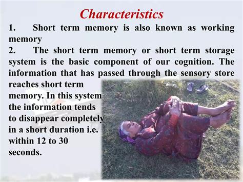 Short Term Memory Stm Ppt