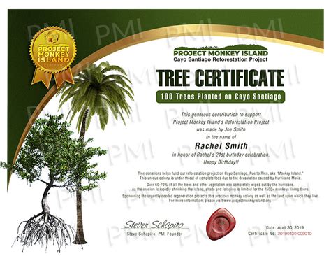 Example Of Tree Planting Certificate At Elaine Lennon Blog