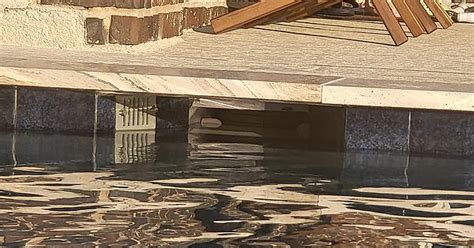 Skimmer Overflow Album On Imgur Skimmer Overflow Album On Imgur