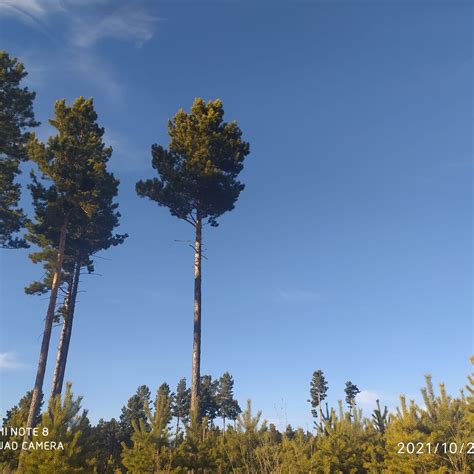 Баян Адарга сум Сурагчдын нэгдсэн зөвлөл