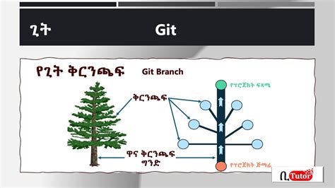 Git And Github Part 18 Git Branch Intro Amharic Lang Youtube