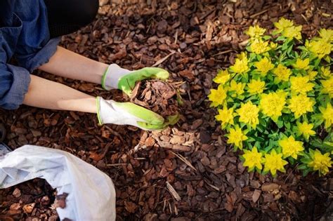 The Complete Guide To Mulch Tips Tricks And Considerations For Beginners