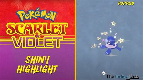 Shiny Popplio Reaction Pokemon Scarlet And Violet Youtube