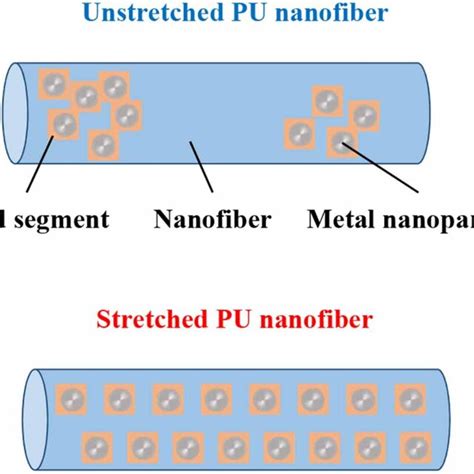 Schematic Showing Modified Metal Nanoparticles Adsorbed On Pu Nanofiber Download Scientific