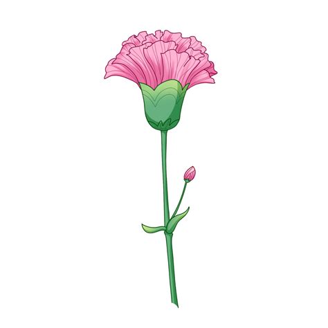 Red Carnation Png Picture Red Carnation Carnation Mother S Day