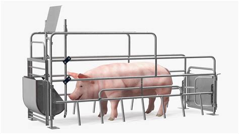 Pig In Farrowing Crate 3d Model 139 3ds Blend C4d Fbx Max Ma Lxo Obj Free3d Pig In Farrowing Crate 3d Model 139 3ds Blend C4d Fbx Max Ma Lxo Obj Free3d