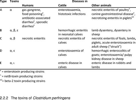 Clostridium Perfringens Types And Associated Diseases Based On Petit