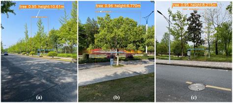 Examples Of The Person Tree Scale Height Measurement Model A Download Scientific Diagram