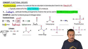 Functional Groups Linkages Channels For Pearson
