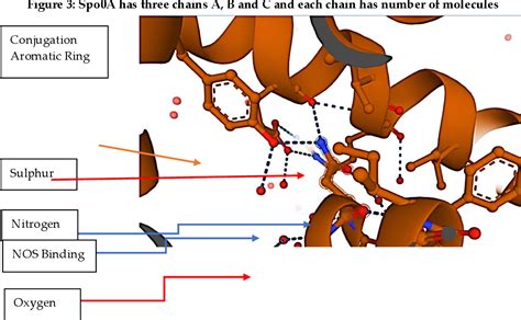Figure 4 From In Silico Analysis Of Bacillus Stearothermophilus As A Bioindicator For
