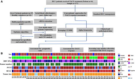 文献解读 液体活检 第十九期《不同 Dna 测序平台的标准化比较》 腾讯云开发者社区 腾讯云 文献解读 液体活检 第十九期《不同 Dna 测序平台的标准化比较》 腾讯云开发者社区 腾讯云