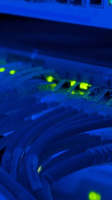 Virus Informatici Cosa Sono Funzionamento E Principali Tipologie