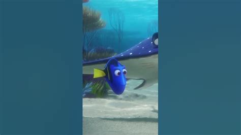 Sr Ray Buscando A Nemo Mr Ray Finding Nemo The Ultimate Disney