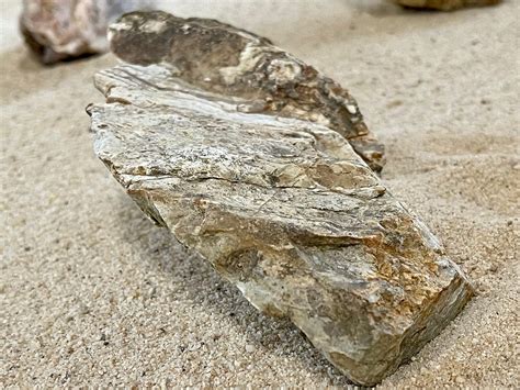 Falling Over No One Likes A Fall From Bicycles To… By Dr John