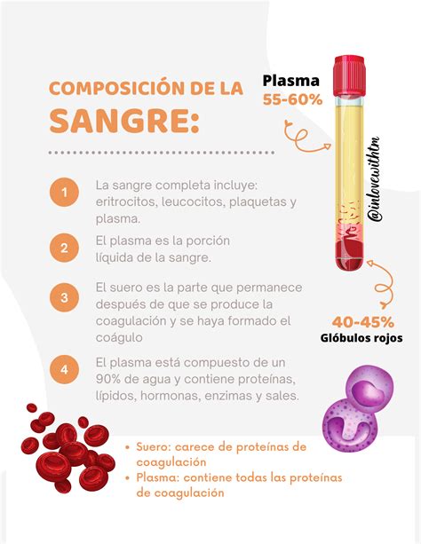 La sangre: Composición y funciones