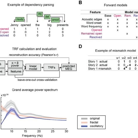 Methodological Aspects Of The Temporal Response Function Trf Analysis