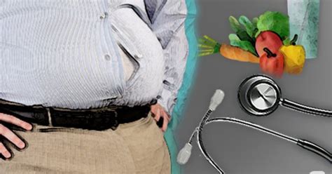 지방세포 분화 대사 조절 메커니즘 세계 첫 규명비만·당뇨 치료 돌파구