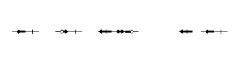 The Inequality Grapher Font