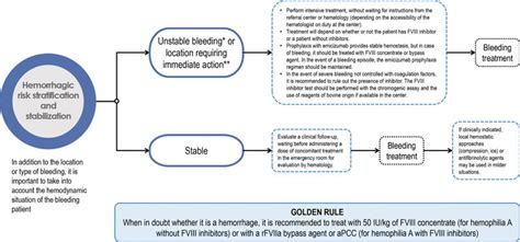 Stabilization And Treatment Of The Patient Hemodynamic Instability