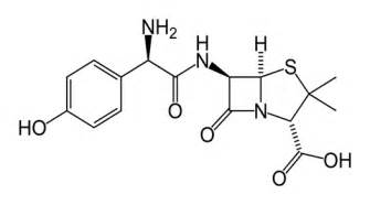 Solved Circle And Label Any Acidic Or Basic Functional