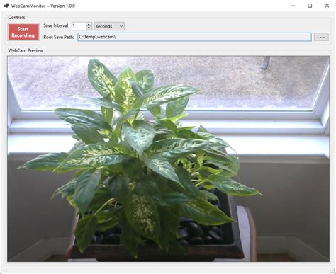 Blogs C WinForms WebCam Monitor