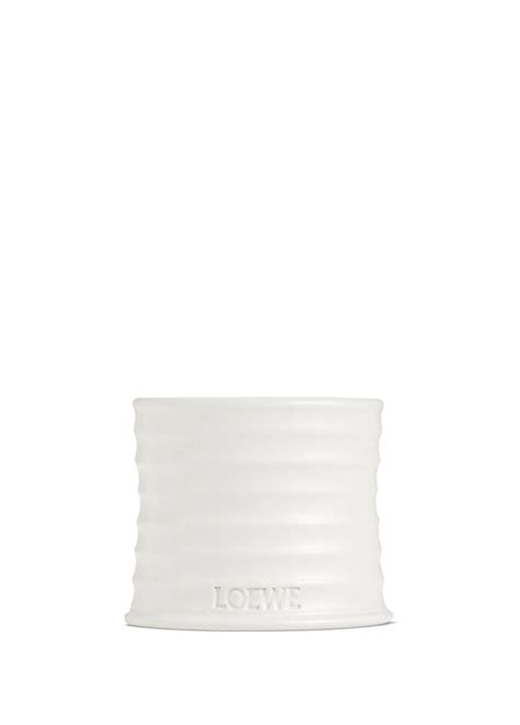 Loewe Oregano Gr Mum Renksiz