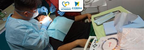 Memahami Gingivitis Penyebab Gejala Dan Perawatannya Pt Cobra