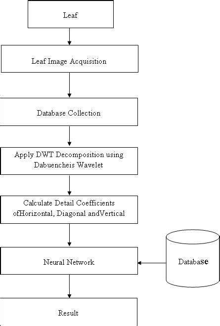 Dwt Implementation Flow Chart Download Scientific Diagram