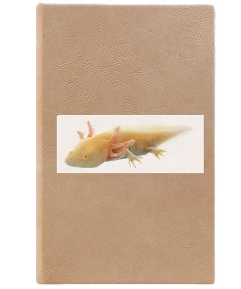 Axolotl Notebook Axolotl Journal Ruled Line Pages T Idea Gratitude Journal Memory Book