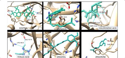 Docked Pictures Of Curcumin Analogues And Pentosan Polysulfate