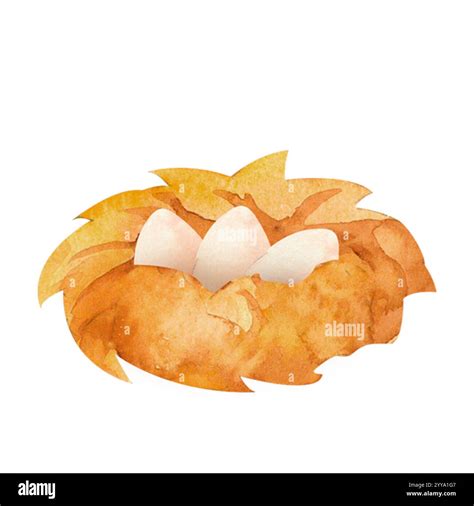 Nest With Eggs Watercolor Illustration Of A Farm Bird Nest A Beautiful Element For Designs