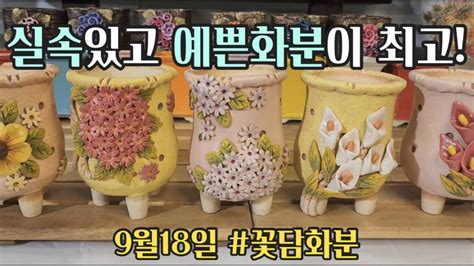 9월18일 실속있고 예쁜화분이 최고 꽃담다육스토리예쁜화분화분싸게파는곳다육식물多肉植物succulents다육이꽃담화분다육화분꽃담다육스토리화분 Youtube