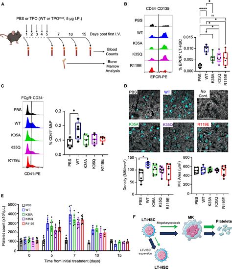 Structure Of The Thrombopoietin Mpl Receptor Complex Is A Blueprint For Biasing Hematopoiesis Cell