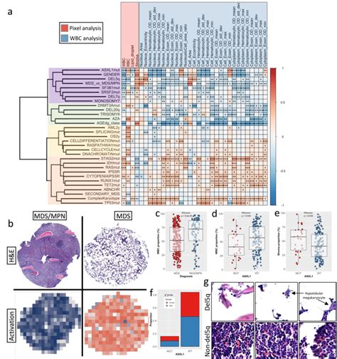 Deconvolution Of Supervised Prediction Models A Correlation Matrix