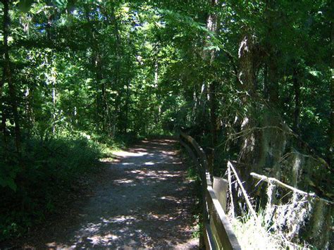 Devils Millhopper Gainesville 15