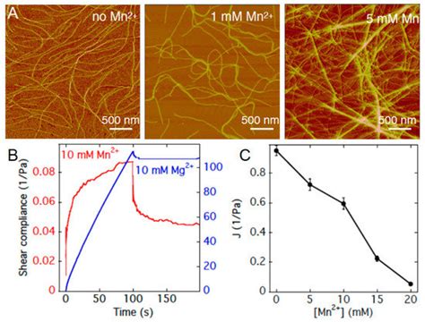Gels Special Issue Polyelectrolyte Gels Volume Ii
