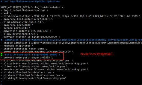 Kubernetes之使用kubernetes部署nginx服务 Helloworld开发者社区