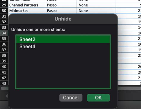 Comment masquer des données dans Excel