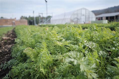 Waynesboro Education Farm Waynesboro