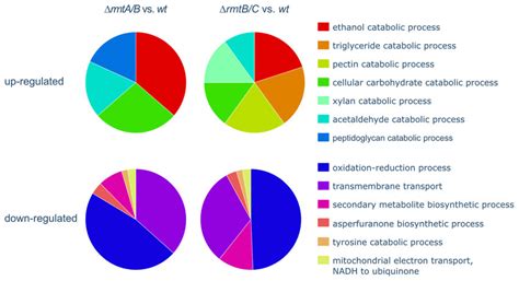 Regulation Of Differentially Expressed Genes Assigned To Functional