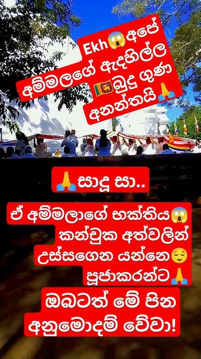 🙏මේ පින ඔබටත් අනුමොදම් වේවා සාදූ සා බුදු ගුණ අනන්තයි කංචුක පුජාවේ අනුහස් දන්න අය කො😌🇱🇰 Srilanka