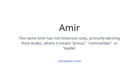 Amir Meaning Nicknames Origins And More Namepedia