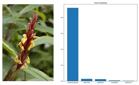 benchmarking inference speed across image classification models in ten