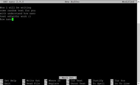 How To Use Nano Text Editor From Installation To Editing
