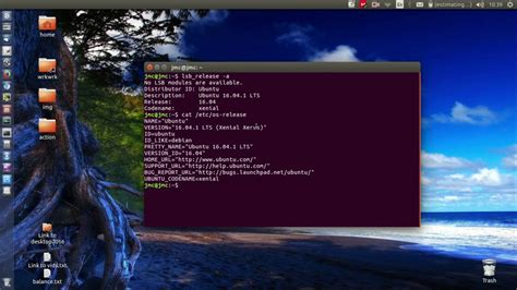 find linux version via terminal [ubuntu 16 04] youtube