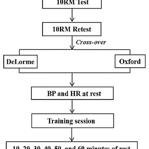 Schematic Model Of The Research BP Blood Pressure Measurement HR Download Scientific