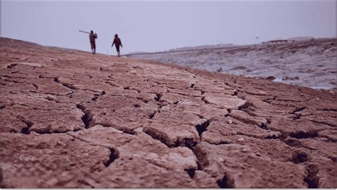 Financed Emissions A Comprehensive Guide To Reporting