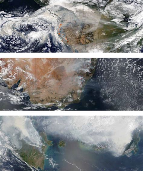 A Review Of The Effects Of Wildfire Smoke On The Health And Behavior Of
